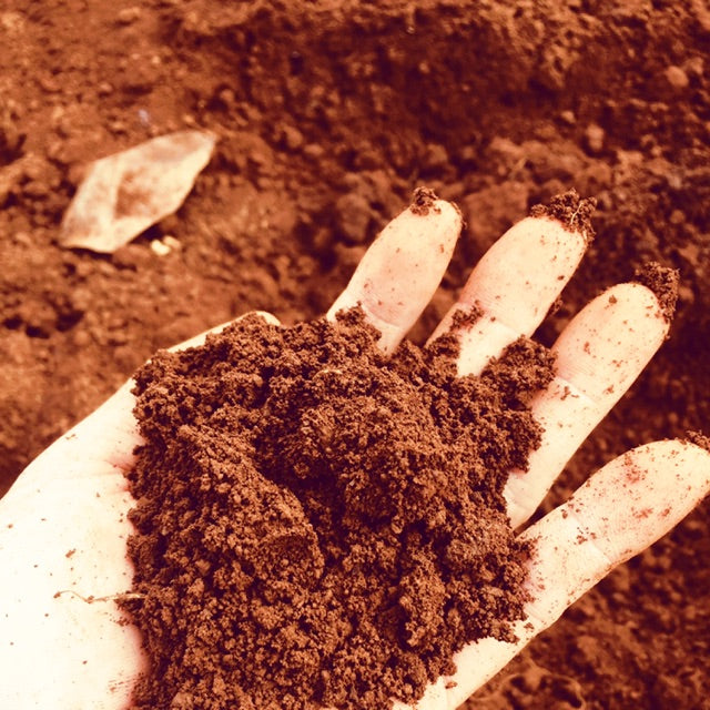 Discover the powder of Red Basalt Soil – SG Rose Corner