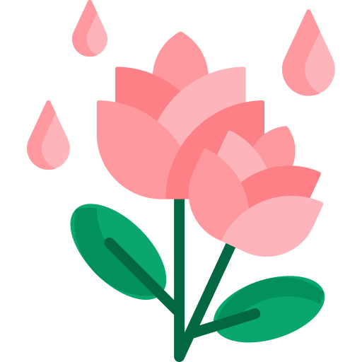 Botero Rose - Spectacular Climber with Enchanting Fragrance – SG Rose ...